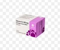 Zaluron XL 300mg tablets (60)